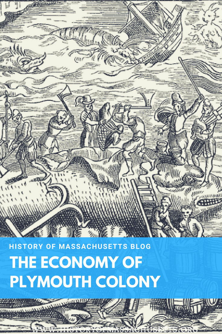 The Economy of Plymouth Colony