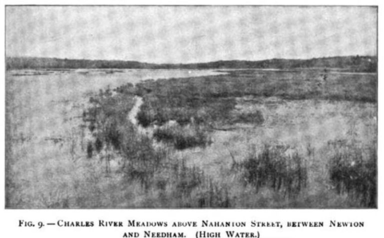 History of the Charles River - History of Massachusetts Blog