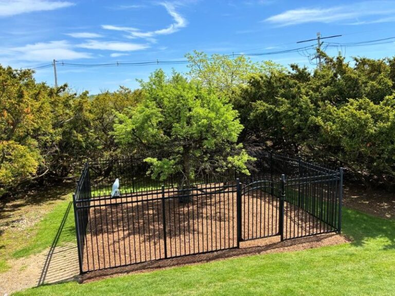Endicott Pear Tree in Danvers, Massachusetts - History of Massachusetts ...